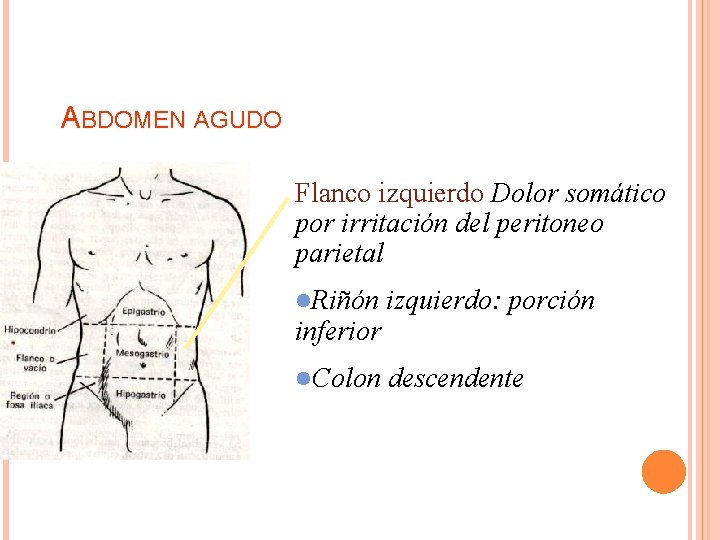 ABDOMEN AGUDO TRAUMTICO VASCULAR Y HEMORRGICO Dra Mar