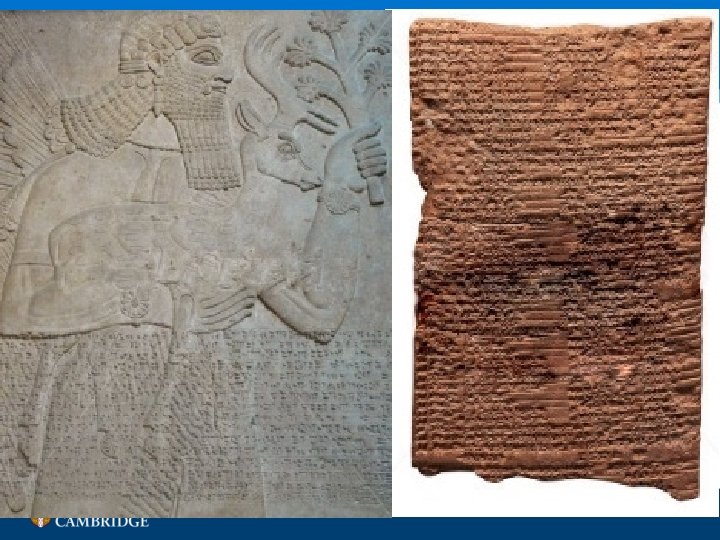 A welloiled future 4000 years of Babylonian fortunetelling