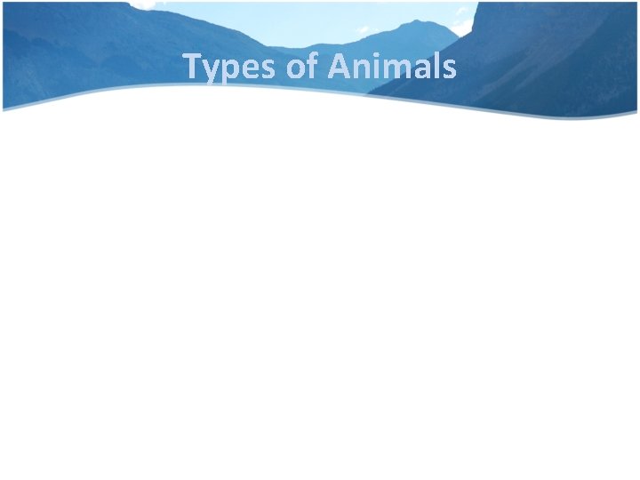 Animal Kingdom What is an Animal Most diverse