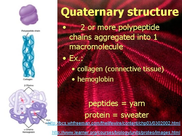 the structure and function of macromolecules macromolecules lipids