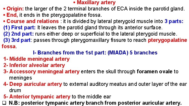Maxillary artery Maxillary artery Origin the larger of
