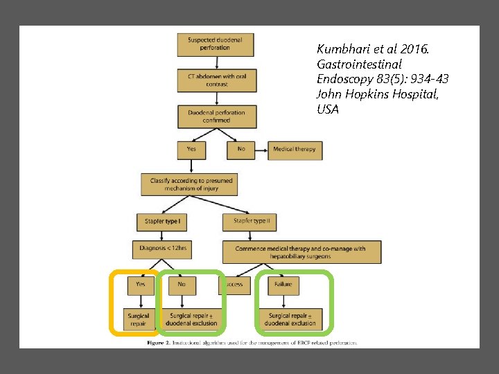 Post ERCP Perforation Joint Hospital Surgical Grand Round