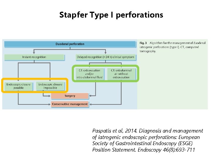 Post ERCP Perforation Joint Hospital Surgical Grand Round