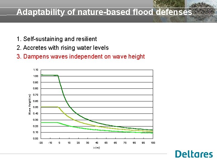 Ecosystembased flood risk mitigation status and future steps
