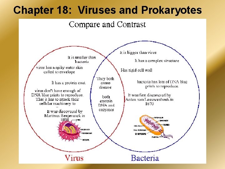 Chapter 18 Viruses and Prokaryotes 18 1 Studying