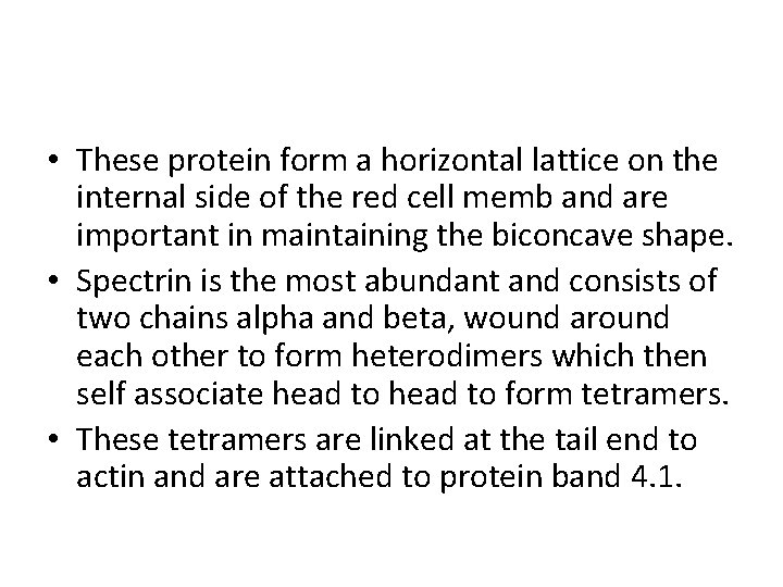 RED CELL STRUCTURE The RBC is 8 micrometer
