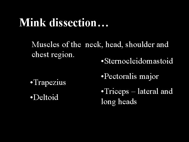 CYBER MINK YEA The digital alternative to mink