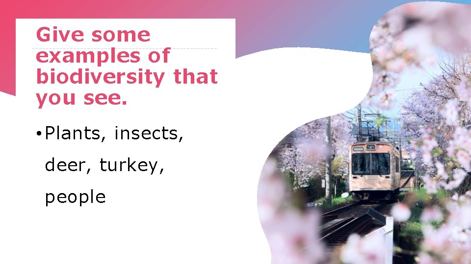 Maintaining Biodiversity What kinds of resources do humans