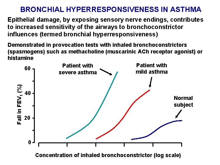 THE NEUROHUMORAL CONTROL OF THE AIRWAYS AND BRONCHODILATOR