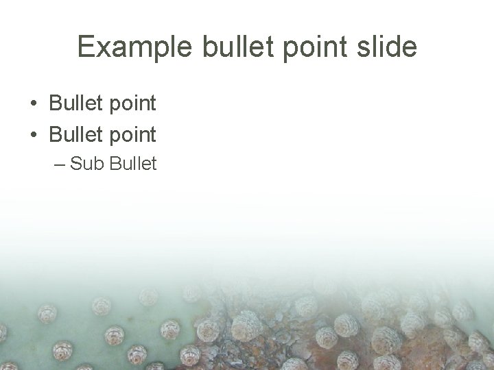 Cactus 2 template Example bullet point slide Bullet