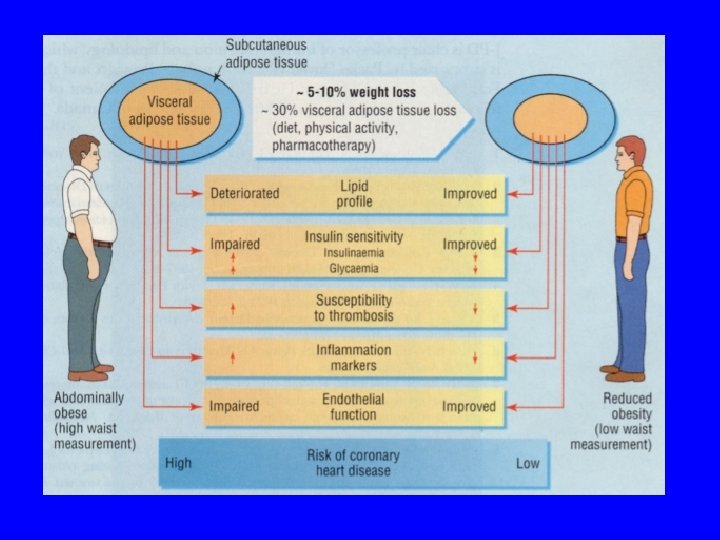 The ObesityDiabetes Epidemic Adiposopathy Obesity The New Disease