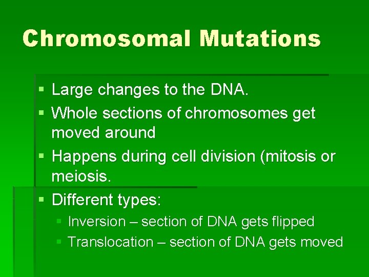Types of Mutations Not these Point Mutations One