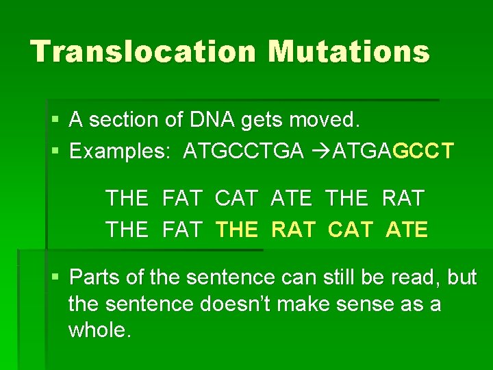 Types of Mutations Not these Point Mutations One