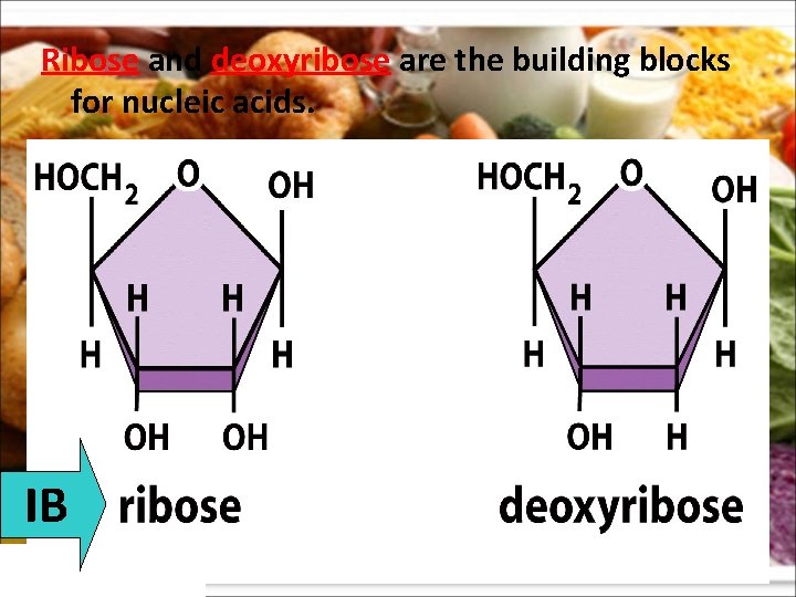 SUGARS Yummy CARBOHYDRATES All living things are made