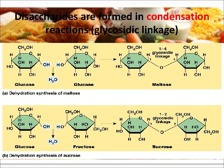 SUGARS Yummy CARBOHYDRATES All living things are made