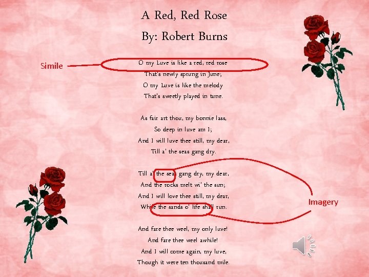 An InDepth Look into A Red Red Rose