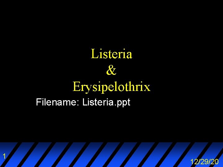 Listeria Erysipelothrix Filename Listeria ppt 1 122920 Outline