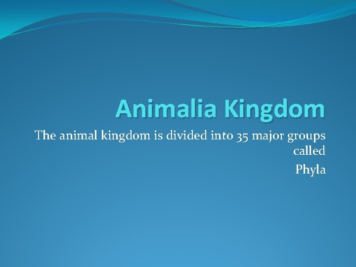 Animalia Kingdom The animal kingdom is divided into