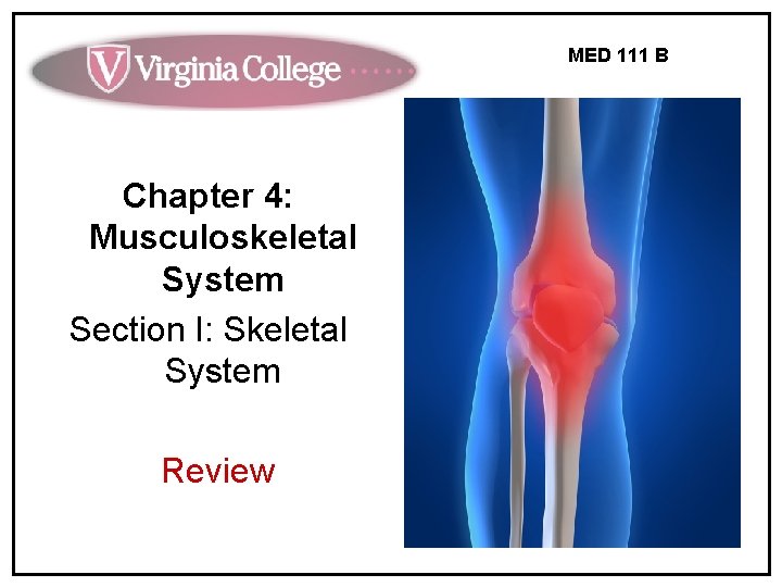 MED 111 B Chapter 4 Musculoskeletal System MED