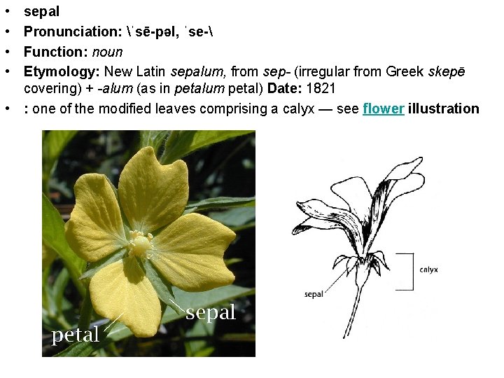 augment Pronunciation o gment Function verb Etymology Middle
