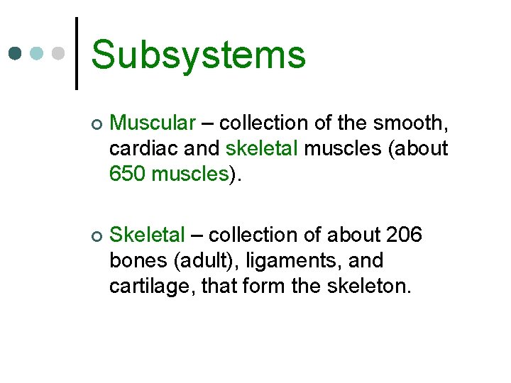 MusculoSkeletal System Detailed Anatomy Mr Brecka General Function