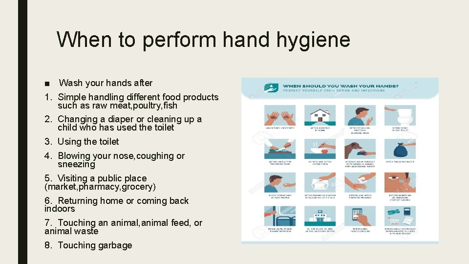 Part II Learning Objectives 1 Importance of Hand