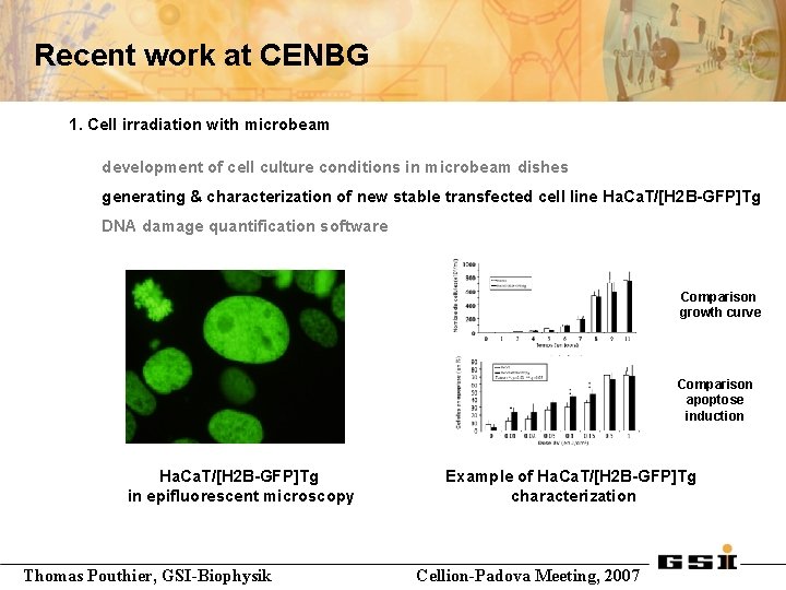 Biological applications of the GSI heavyion microbeam T
