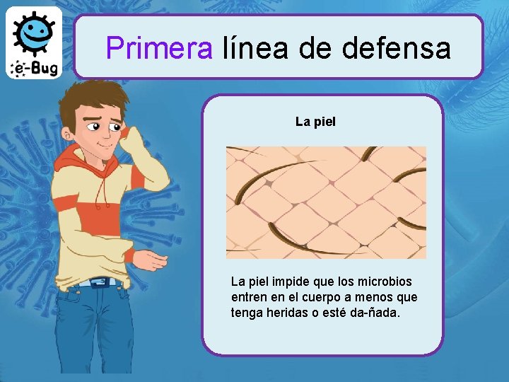 Defensas naturales del organismo Defensas naturales del organismo