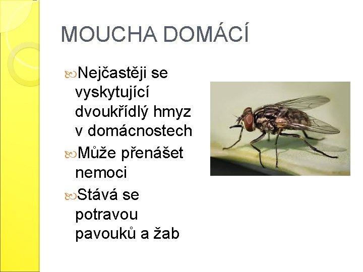 DVOUKDL ZNAKY Pouze jeden pr blanitch kdel Lidov