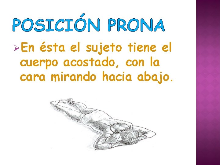 COBAY ANATOMA Y FISIOLOGA HUMANA PROFESOR PEDRO VEGA