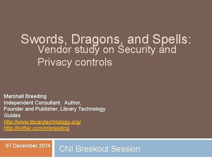 Swords Dragons and Spells Vendor study on Security