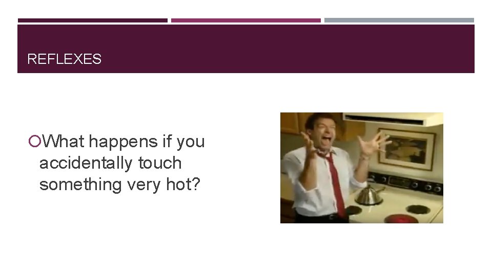 NERVOUS SYSTEM PART 2 REVIEW The brain is