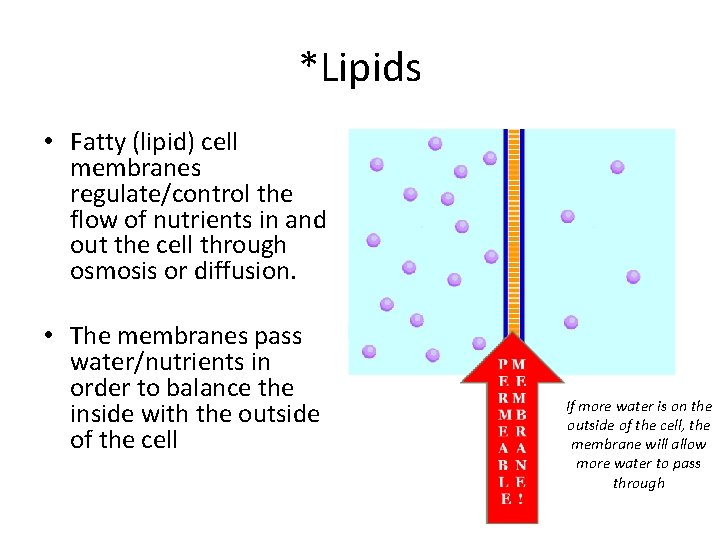 60 Energy from Macromolecules Types carbohydrates lipids fats