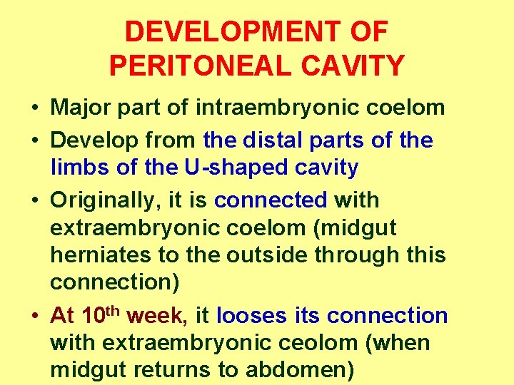 Dr Ahmed Fathalla Ibrahim INTRAEMBRYONIC COELOM INTRAEMBRYONIC COELOM