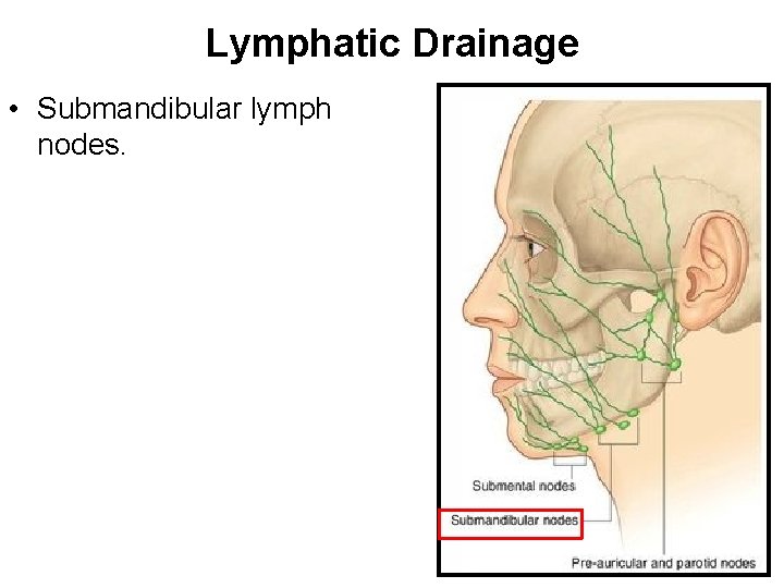 PARANASAL AIR SINUSES Presented by Dr Sushma Tomar