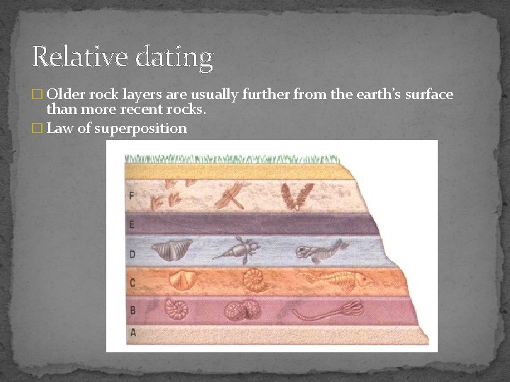 History of the Earth The Fossil Record Fossils