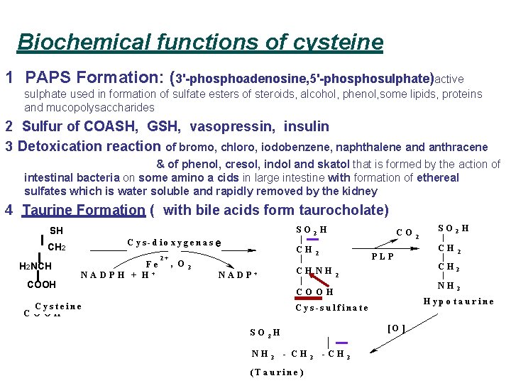 Metabolism of proteins amino acids by Dr Heba