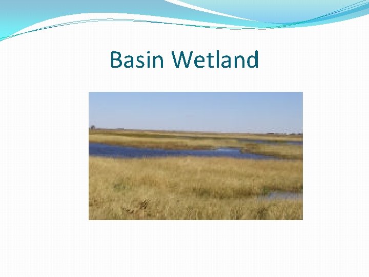 Ecology Kelsey Brown AP Biology Biomes Major types