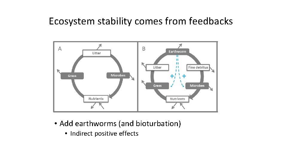 ECOL 8000 Module 2 Biodiversity and Ecosystem Functioning