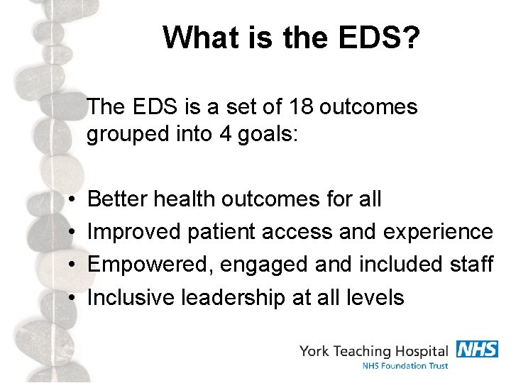 Equality Delivery System Content Background Recommendations Benefits ...