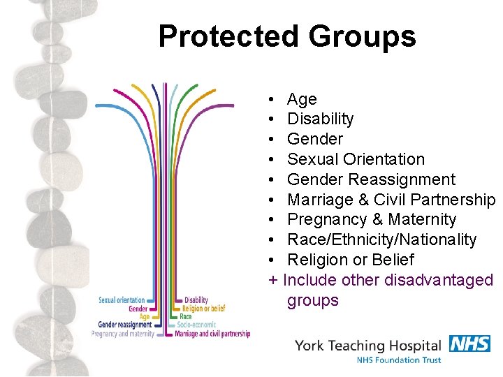 Equality Delivery System Content Background Recommendations Benefits ...