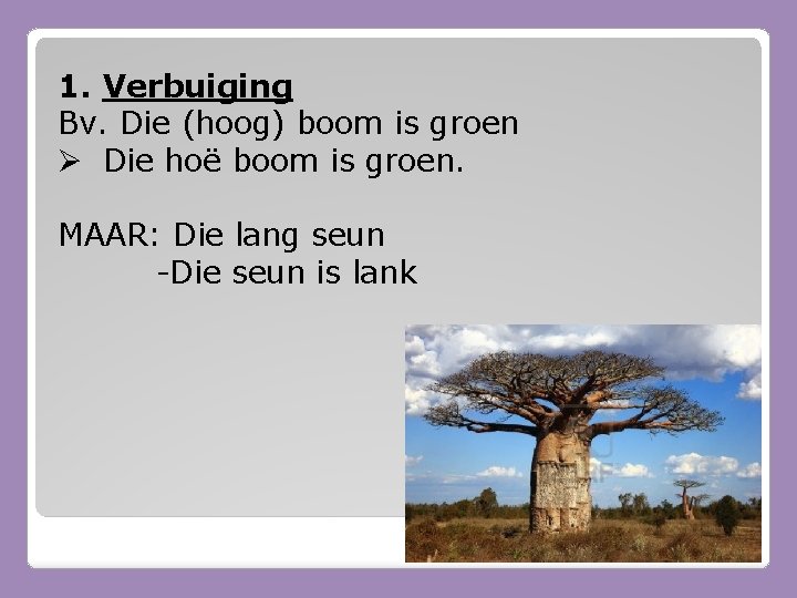 Byvoeglike Naamwoorde adjektief Beskryf die woord Selfstandige naamwoord