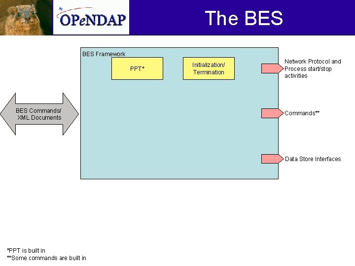 Harnessing the power of the BES OPe NDAP
