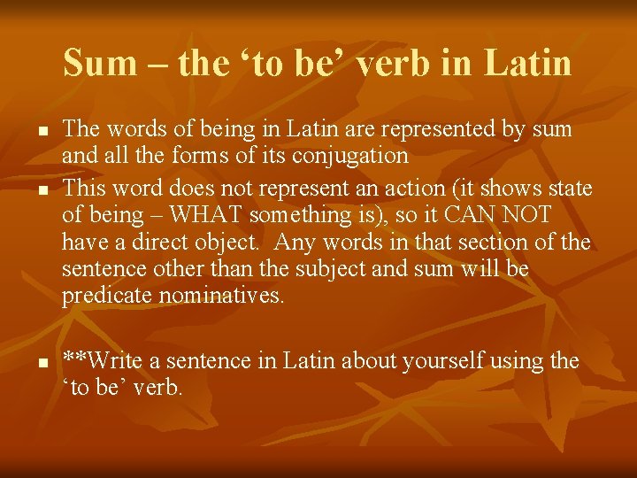 Lesson 15 Present Tense of To Be Sum