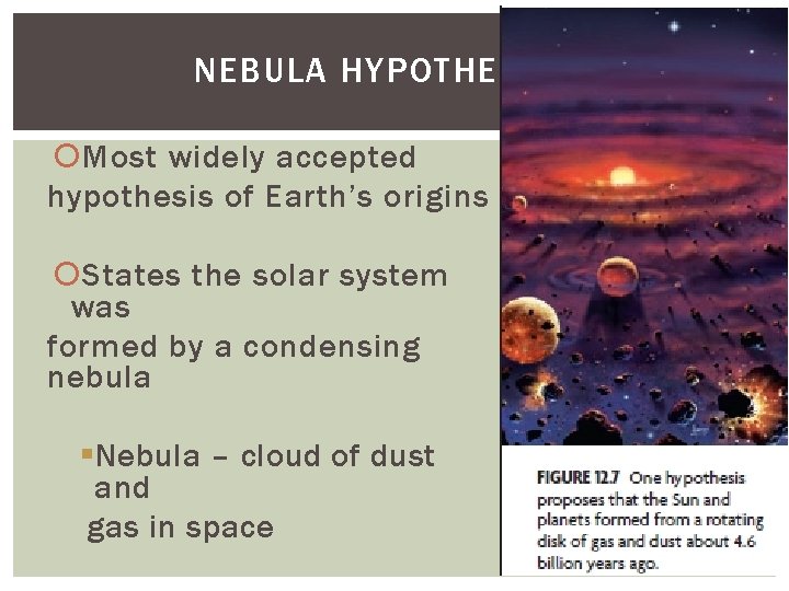ORIGINS OF LIFE Chapter 12 Section 3 pg