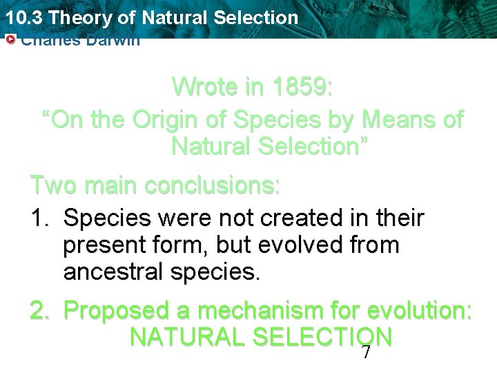 10 3 Theory of Natural Selection KEY CONCEPT