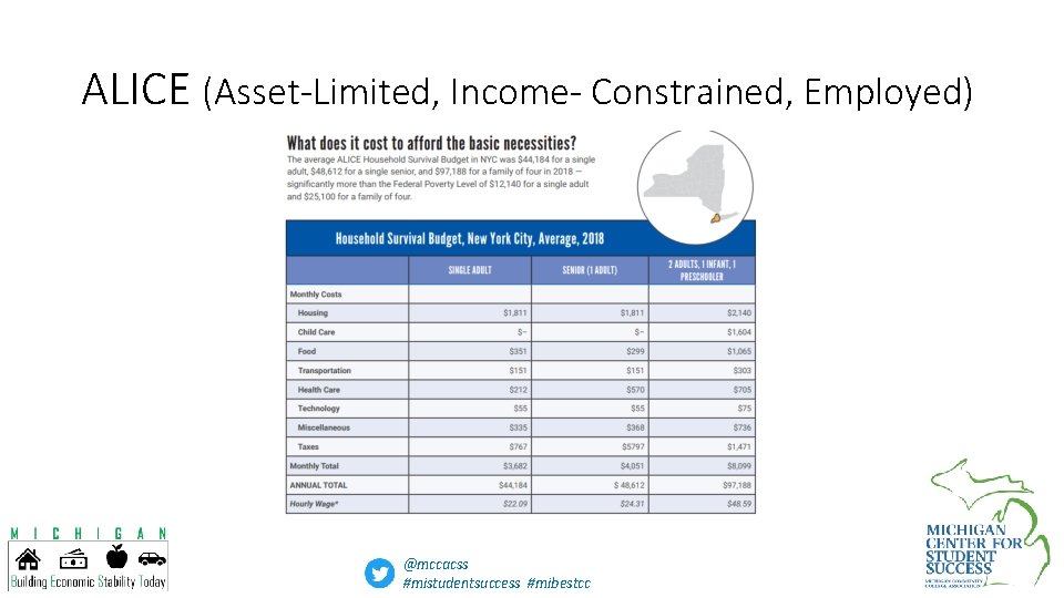 Michigan Center for Student Success Basic Need Initiative