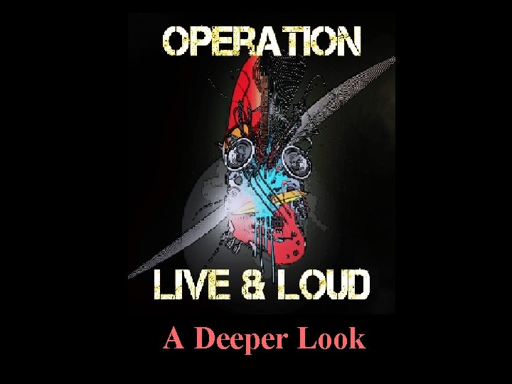 A Deeper Look Meet the United States Government