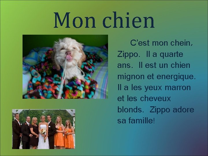 Ma Famille Mon pere Ma mere Ma belle