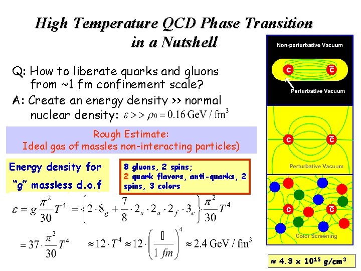 Physics of Quark Hadron Phase Transition Michal umbera